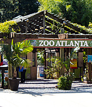 Downtown Atlanta | Your guide for Downtown Atlanta, Georgia